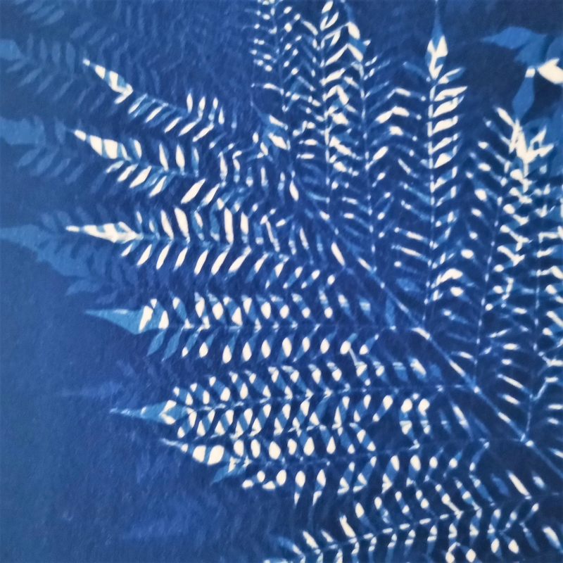 Prints | Jamila Baroni